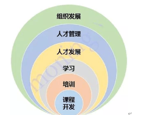HR3D之OD、TD、LD区别与岗位职责_onekbit云笔记